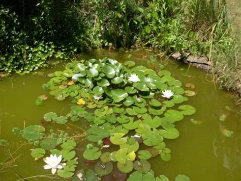 Mouss Et Tik Balade Au Gré Des Contes
