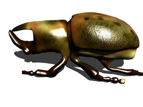 Rhino Beetle 3d Model