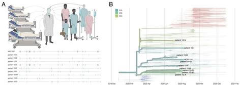 Graphic Representation Of Case 10 A Viral Sequences Are Aligned Download Scientific Diagram