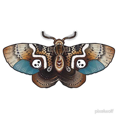 Clockwork Moth Illustration Au