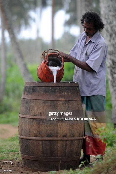 A Toddy Tapper Pours Coconut Tree Sap Into A Collection Barrel To