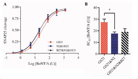Effect Of Gs21 In Combination With N2 And B27 Neural Supplements A