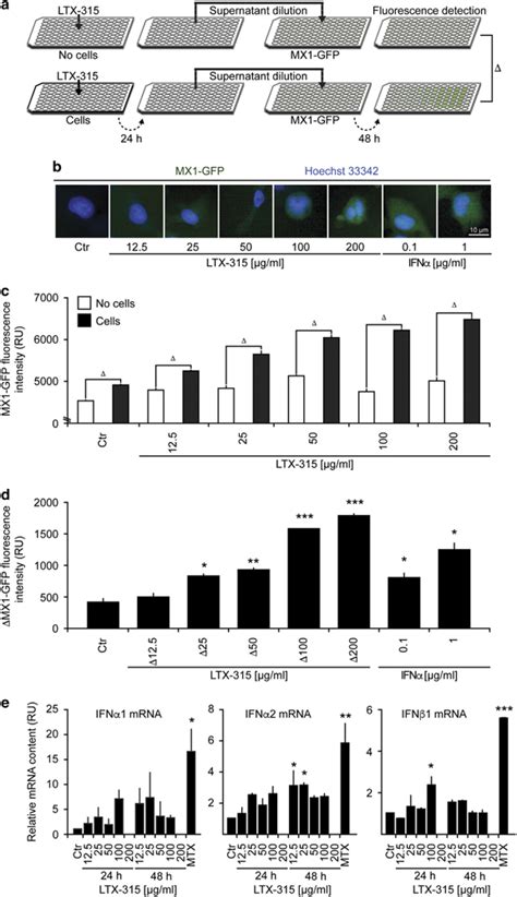 Induction Of A Type 1 Interferon Response By Ltx 315 A D A Schematic