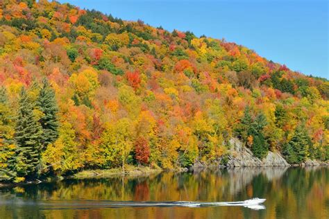 10 Best Things To Do In Stowe Vt What To Do In Stowe Vermont
