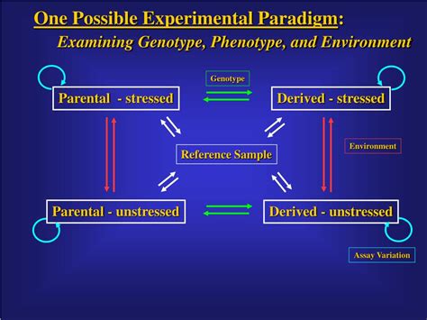 Ppt Microarray Data Normalization And Analysis Powerpoint