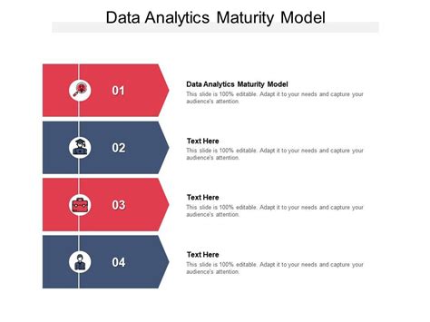 Data Analytics Maturity Model Ppt Powerpoint Presentation Information