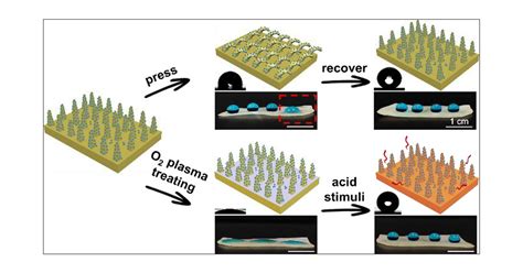 Smart Superhydrophobic Surface With Restorable Microstructure And Self
