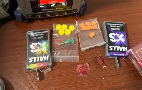 Apa Itu Biosfer Pengertian Komponen Dan Perannya Dalam Ekosistem