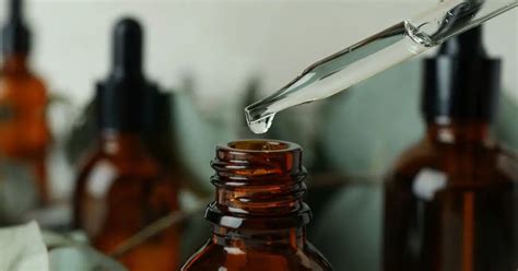 15 Best Reed Diffuser Oil Refills A Buying Guide Best Home Aroma