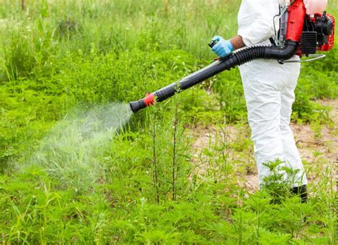 Methods Of Chemical Pest Control At Nathan Graham Blog