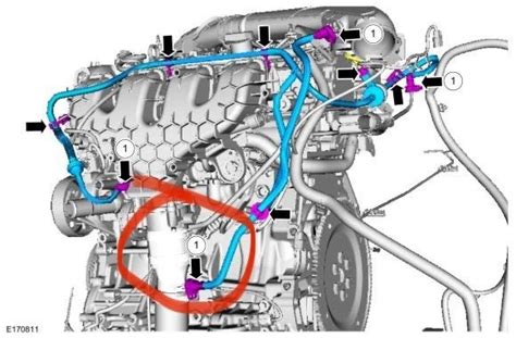 2015 2 0l Ecoboost Canister Purge Valve 2013 Ford Escape Forum