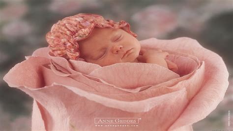 Anne Geddes Wallpaper 59 Pictures Wallpaperset