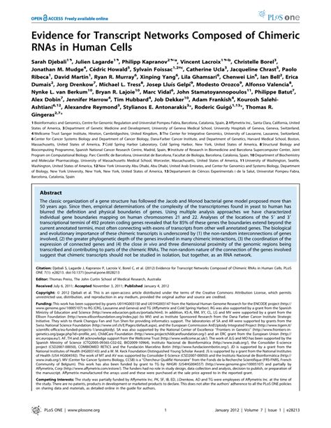 Pdf Evidence For Transcript Networks Composed Of Chimeric Rnas In Human Cells