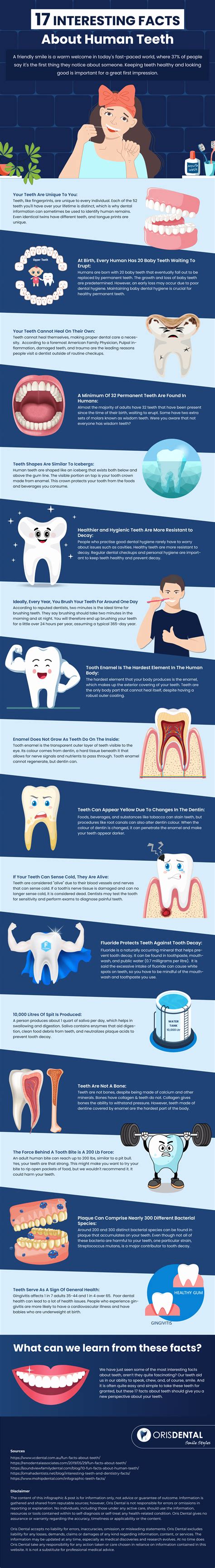17 Interesting Facts About Human Teeth [infographic]