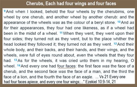 Scripture For Today 12 18 16 Jesus Our Blessed Hope