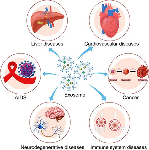 Engineered Exosome For Drug Delivery Ijn