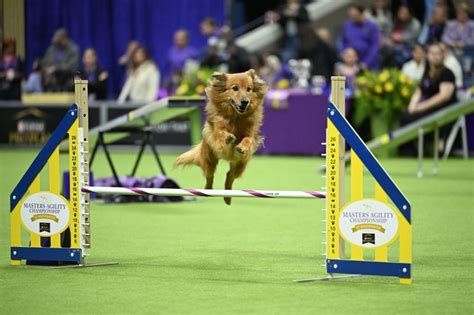 Becky Diffen On Linkedin My Tax Partner Is The Coolest Loved Getting To Watch Hilary Sadie And