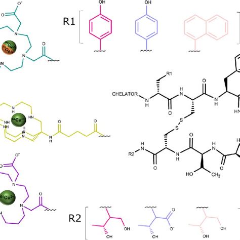 Schematic Representation Of The Radiopharmaceuticals Targeting Sstr2