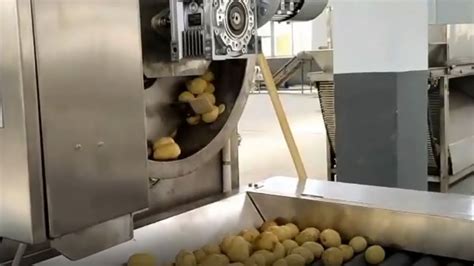 Clean Vegetable Processing Line Food Processing Line Supplier Walley