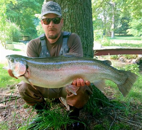 Virginia Angler Breaks 30 Year State Rainbow Trout Record Virginia Dwr
