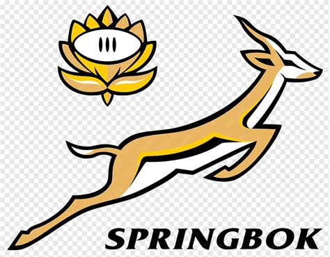 Springbok Logo Protea Springbok And Protea Womens T Shirt
