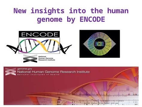 Pptx New Insights Into The Human Genome By Encode Project Dokumentips
