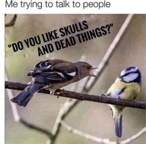 Mini Dump Album On Imgur