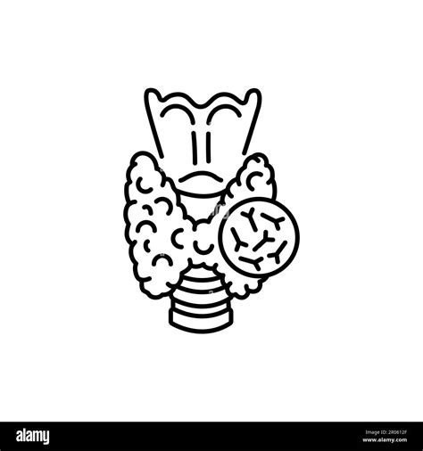 Thyroid Black Line Icon Autoimmune Diseases Pictogram For Web Page Mobile App Promo Stock