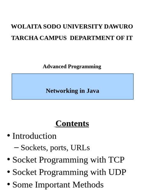 Advanced Programming CH2 | PDF | Network Socket | Port (Computer Networking)