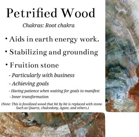 Polished Petrified Wood Pendent Peanut Jasper In 925 Sterling Silver 1