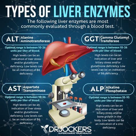 Top 12 Inflammatory Lab Markers And Optimal Ranges