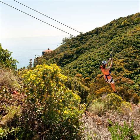 Catalina Island Zip Line Eco Tour Find Things To Do And Activities