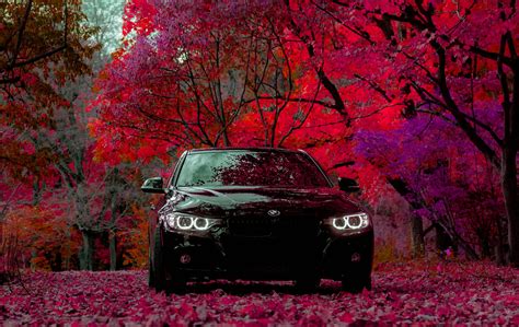 Black Red Car Wallpapers Wallpaper Cave
