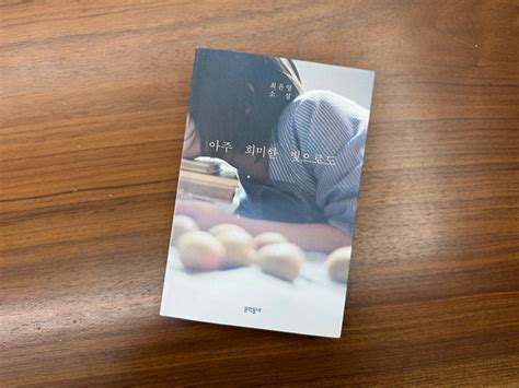 최은영 아주 희미한 빛으로도 기록과 기억