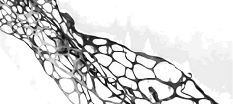 Multifunctional Membrane Buckminster Fuller Institute