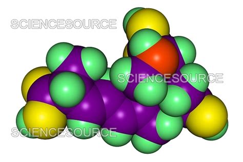 Photograph Domoic Acid Molecular Model Science Source Images