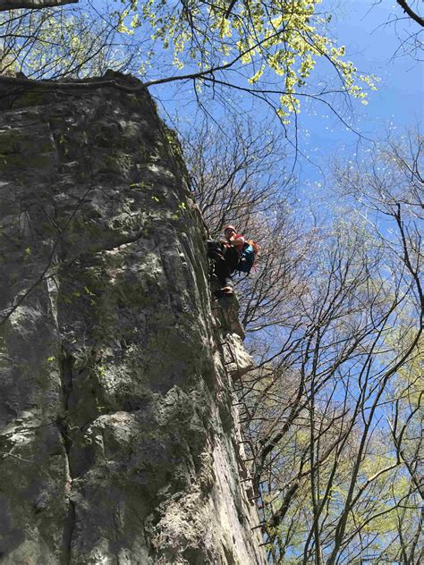 Lisca U Potrazi Za Vrućim Kajem Pds Velebit Zagreb