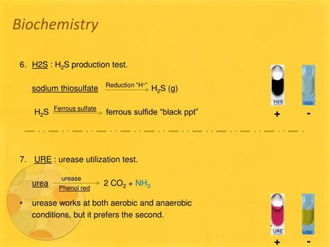 Ppt Api 20e Powerpoint Presentation Free Download Id 1935601