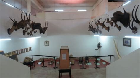 Kakamega Forest And Kitale Museum Tour