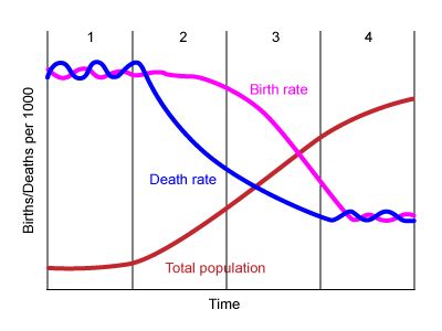 Demographic Transition Model Definition And Stages Lesson