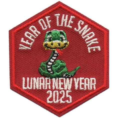 12 Pieces 2 Custom Activity Scouts Applique Fun Patches 2025 Year Of