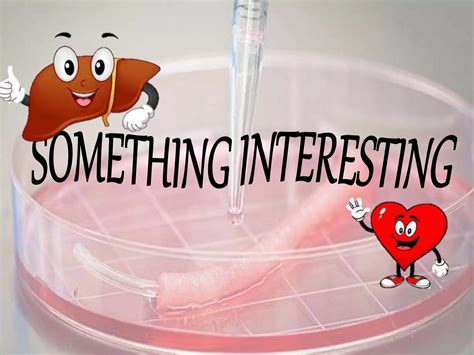 Organ And Tissue Engineeringexamples Ppt