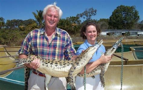 Crocodile Sex Frenzy In Australia Triggered By Chinook Helicopters