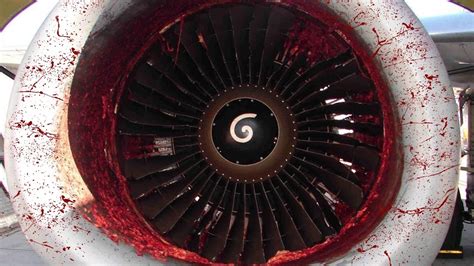 Jet Engine Accident