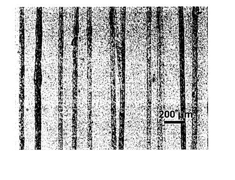 Printed Electronics Patented Technology Retrieval Search Results