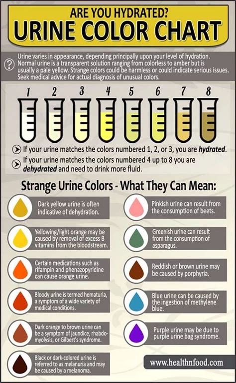 Urine Color Chart Medical Laboratory Science Nursing School Notes