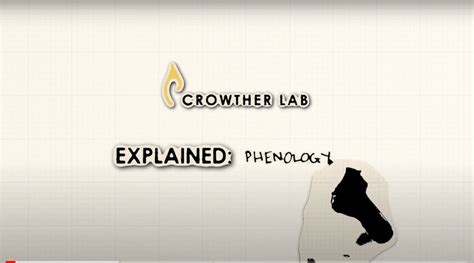 Explained Phenology Crowther Lab