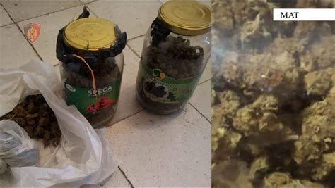 ‘tempulli Shisnin Drogë Në Shkollat E Burrelit Arrestohen 2 Të