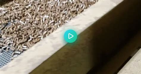 Pellwts Album On Imgur