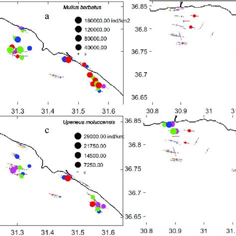 Spatiotemporal Abundance Indkm 2 Distribution Circles Log 10 Download Scientific Diagram
